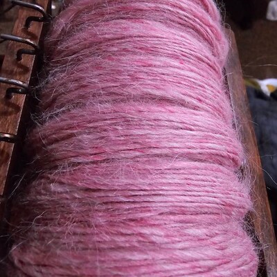 Indigofera Suffruticosa Seed Blue Guatamalan Indigo, Anil Natural Dye ...