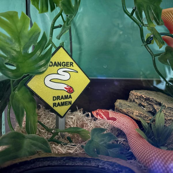Cute Snake Warning Sign With Post, Vivarium Decoration for Hognose ...