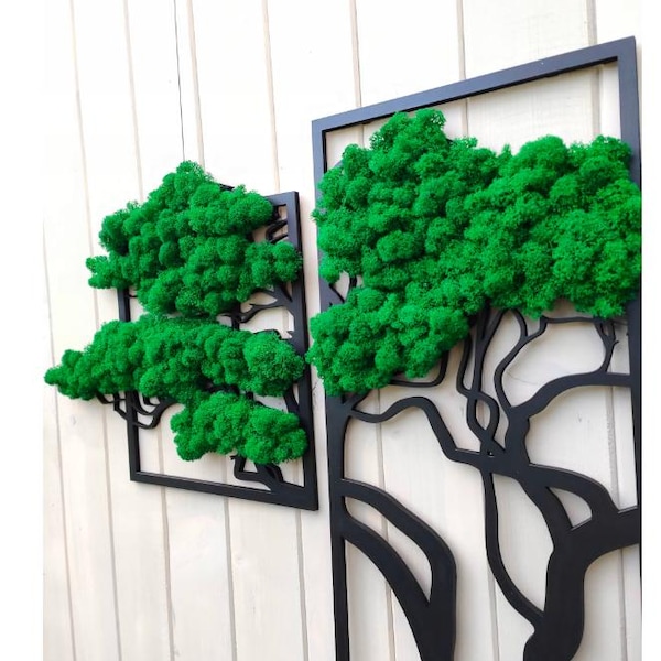 Moss Wall Art Bonsai Tree Home Decoration for Living Art Botanical Moss ...