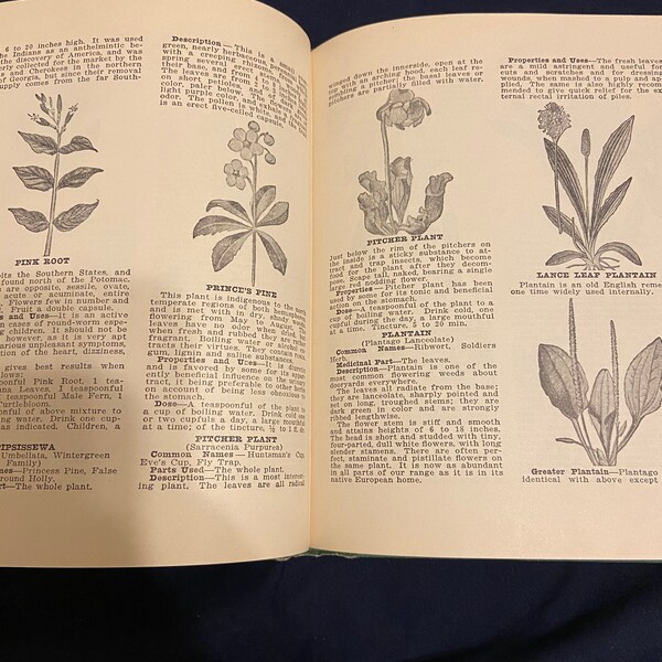 Vintage Inuit Soapstone Bird Sculpture, First Nations Art, Hand Carved ...