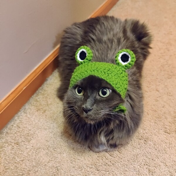 Green Knitted Yarn Frog Hat for Cat or Samll Animal Small and Medium ...