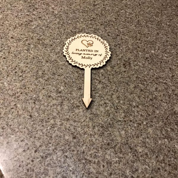 Suc-cess You Did It Custom Graduation Grad Plant Stick Gift Ideas ...