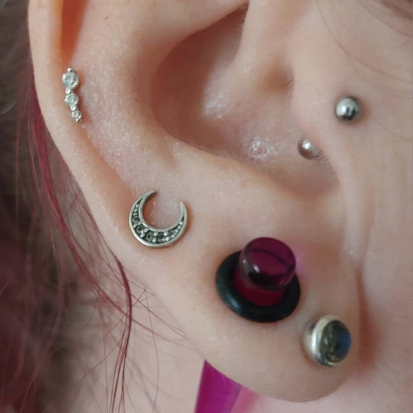 Pair of Fake Ear Stretchers Areng Wood Spirals Sterling Silver Tip ...