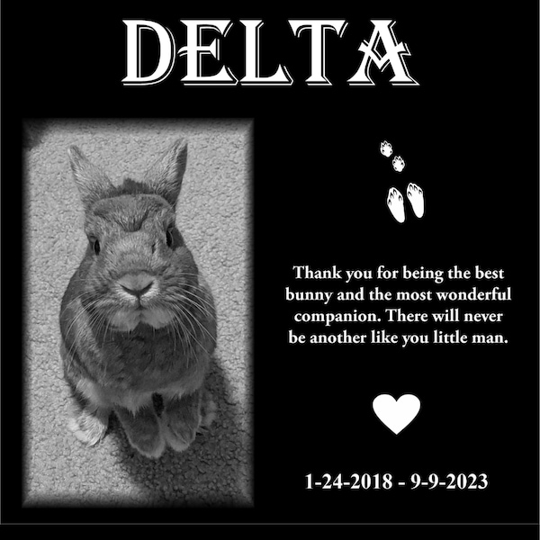 12x12 Personalized Pet Headstone, Bunny Rabbit Tombstone Laser Engraved ...