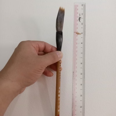 Jiang Sixu Tang 胭脂膏 Carthamin Safflower Red Plant Color 5g - Etsy