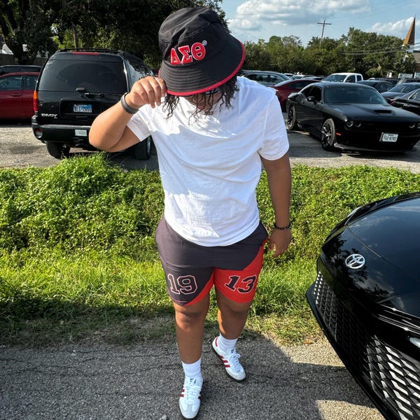 Delta Sigma Theta Pen Light | DST Pen Light | Gift - Etsy