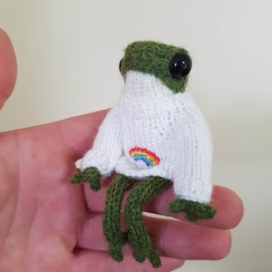 Knitted Frog in Sweater Crochet Froggy in Clothes Frog and - Etsy
