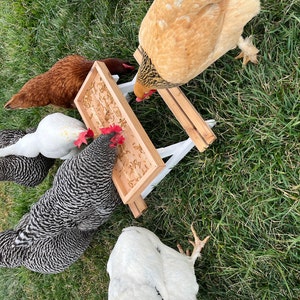 One Picket Chicnik Table Plans, Digital Plans, Chicken Table, Chicken ...