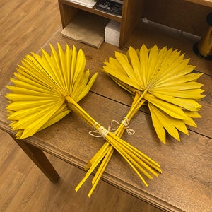 Yellow Potpourri Dried Dried Pods for Potpourri Dried | Etsy