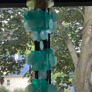 Natural Mussels Clam Shell Carving Dragon Model on Stand Large Size ...