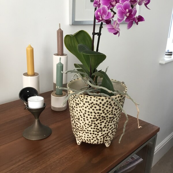 White Ceramic Reed Diffuser Bud Vase. Handmade Danish Studio Stoneware ...