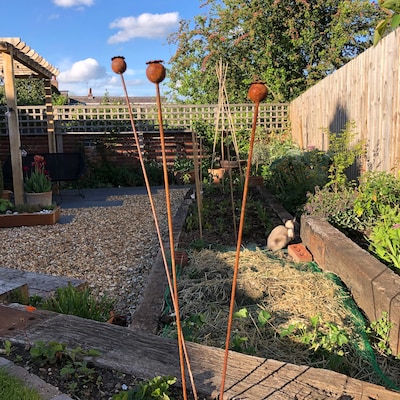 Set of 3 Rusty Poppy Seed Head Pattern Naturally Rusting Ornamental ...