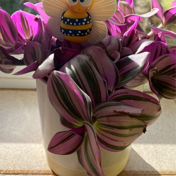 Plant Pet. Bumblebee ,bee, Handmade Pot Decoration, Party Favors, Gift ...