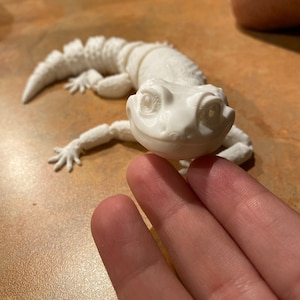 Robolotl Robot Axolotl Digital .STL File for 3dprinting - Etsy