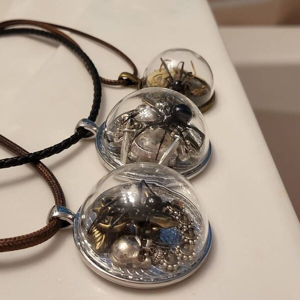 Real Green June Bug Beetle Pendant Necklac Clear Glass Crystals AB ...