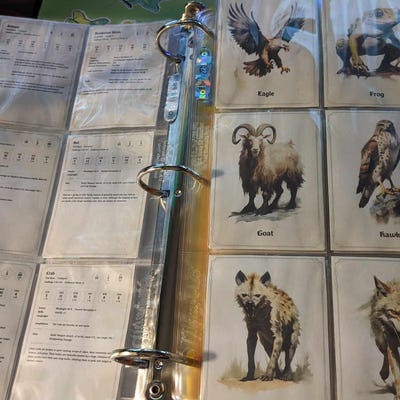 D&D Phandalin NPC Cards, Lmop, Doip, Pabtso, Tokens, Foldable Board ...