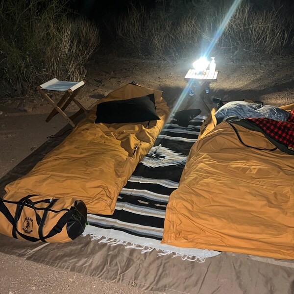 Premium Saltillo Serape Striped Earth Tones Fringed Throw Blanket by ...