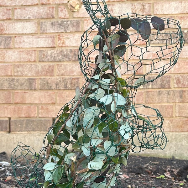 Boxer Topiary Frame - Etsy