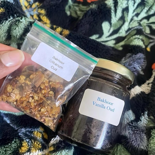 Onycha-operculum Hard - Operculum Shells, Sea Shells, Devils Nails ...