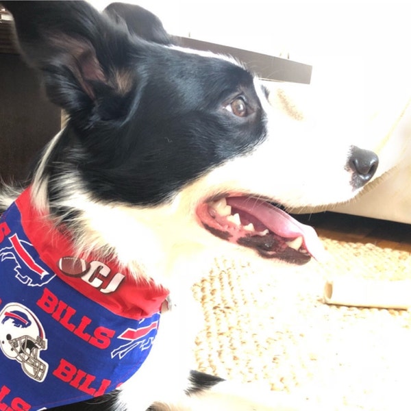 Personalized NBA San Antonio Spurs Basketball Christmas Stocking ...