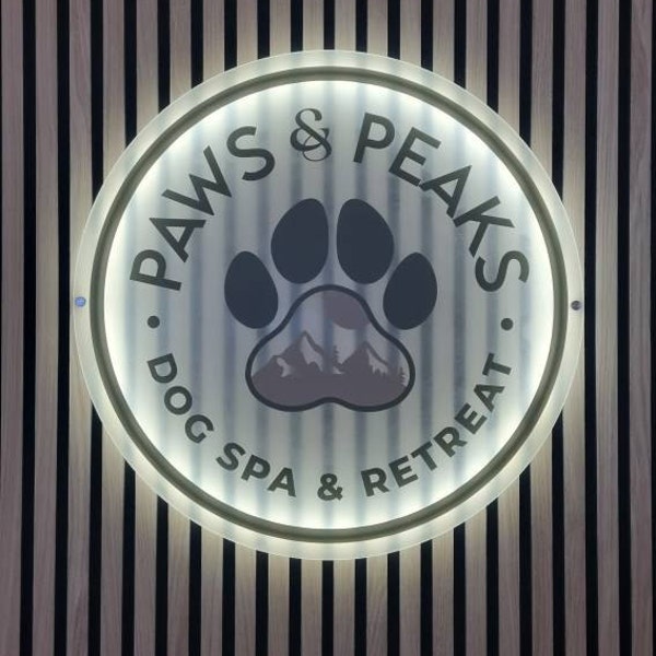 Custom Backlit Metal Business Logo 3D Light up Signs Outdoor Company ...