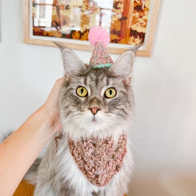 Cat Birthday Hat Pet Party Hat Puppy Birthday First Birthday Puppy First Birthday Birthday Party ...