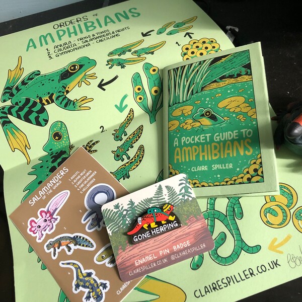 Gone Herping Enamel Pin Badge / Large Salamander Jewellery / Amphibian ...