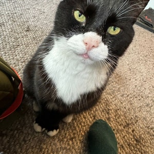 Predator Movie Card, Dinosaur Birthday Card, Tyrannosaurus Card, Arnie ...