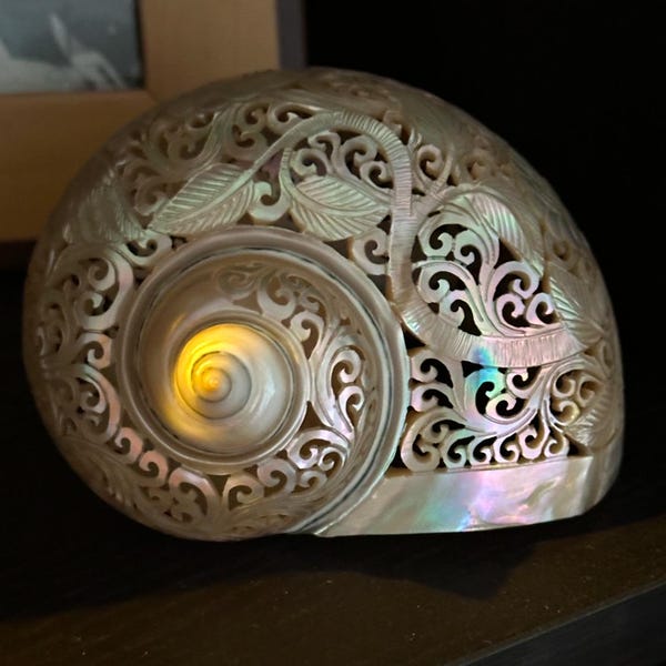 Carved Skull,wooden Human Skull With Centipede,skull Replica,skull Art ...