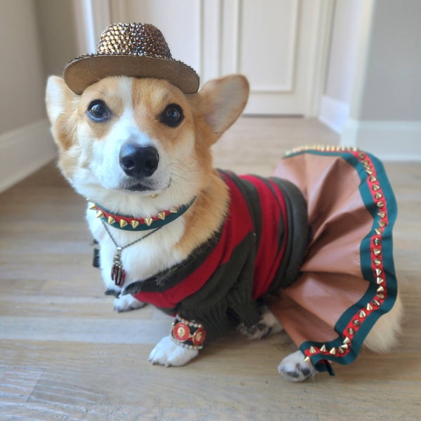 Rib Cage Earrings, Horror Gifts, Rib Cage Anatomy, Horror Earrings ...