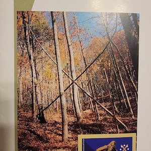 Bigfoot Book Sasquatch Book Stick Structures Book Field Guide ...