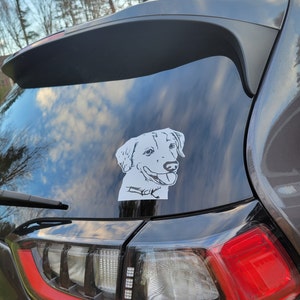 Pet Welcome Sign/ Pet Door Sign/ Dog Door Sign/pet Portrait - Etsy