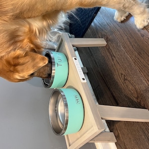 Modern Elevated Dog Feeder Pretty Girl Dog Bowl Stand Personalized ...