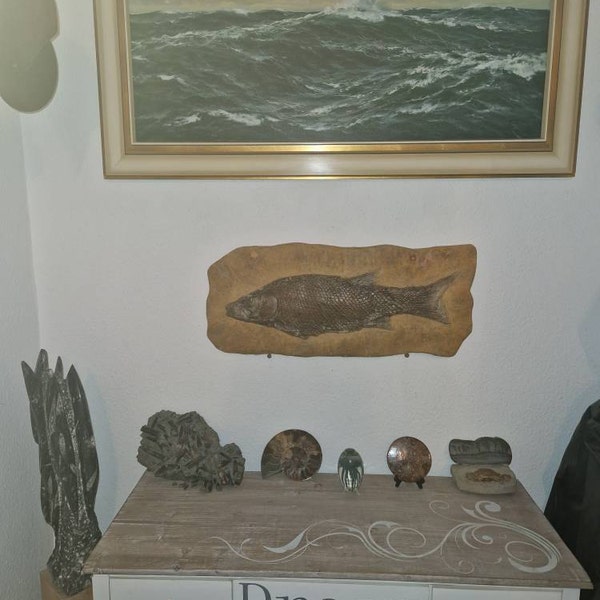 Skull LUCY AUSTRALOPITHECUS Afarensis Replica Complete Skull With ...