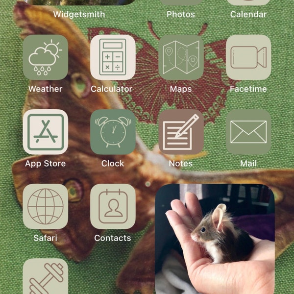 Spring Time Cottage Core Aesthetic Phone Icons| iPhone and Android ...