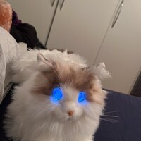 SEEU & Chongker He Hua Super Lifelike Plush Panda Dollpanda Fans Can't ...