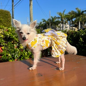 Dog Show Training Stack Box Toy Adult Size Stack Training - Etsy