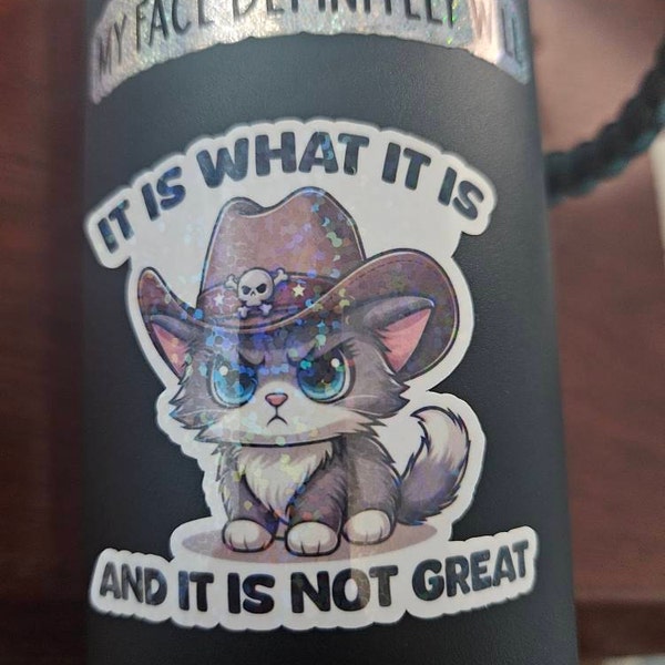 Everything's Fine Dumpster Fire Cat Sticker, Vinyl Holographic Sticker ...