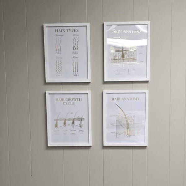 Face Anatomy Print, Real Foil Poster, Fitzpatrick Scale, Skin Anatomy ...