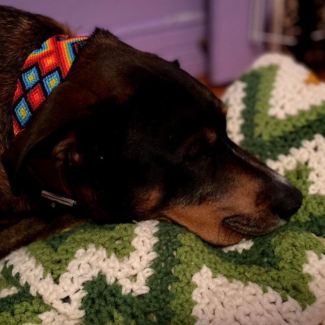 Boujee Barks Unique Bandannas Dog Collars Leashes by BoujeeBarks