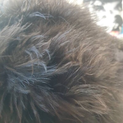 Victorian Edwardian Winter Split Leg Bloomers - Etsy