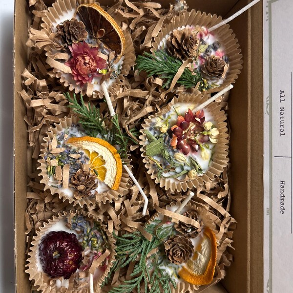 Celestial Collection Candle Set Sample, Six Candles, Soy Scent Candle ...