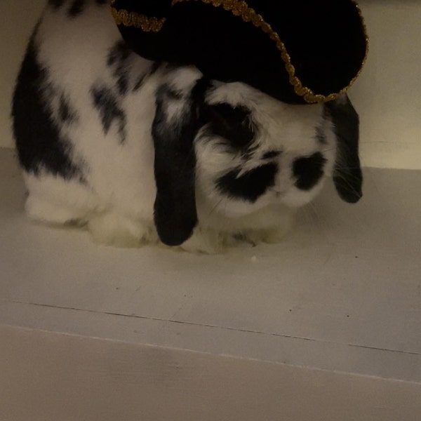 Colonial Tricorn Pirate Hat for Pet Bunny Rabbit and Other Small Pets ...