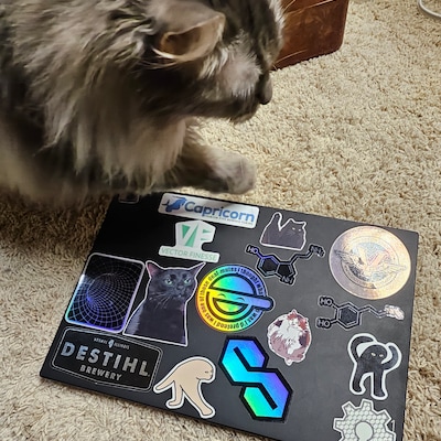 Dissociating Sticker, Zoning Out Black Cat Meme, Dissociative Sticker ...