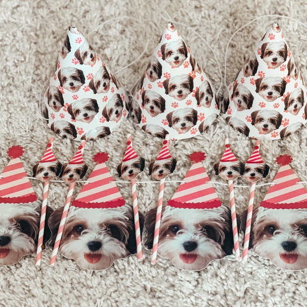 Custom Face Party Hat - Photo Party Hat - Personalized With Your Photo ...