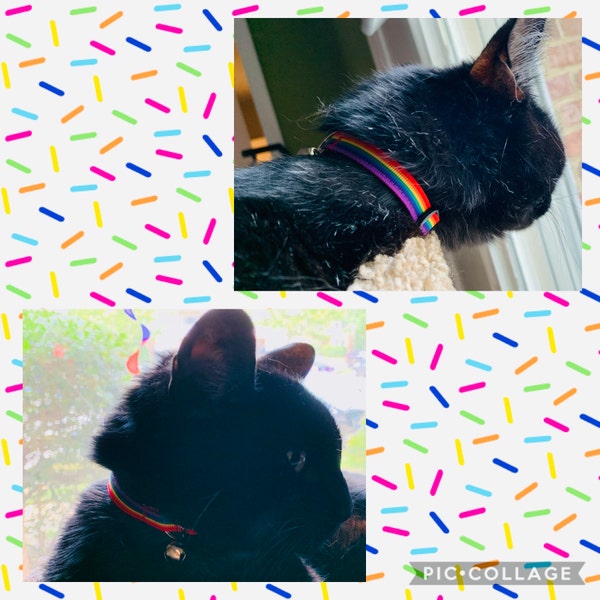The Rainbow Breakaway Cat Collar - Etsy