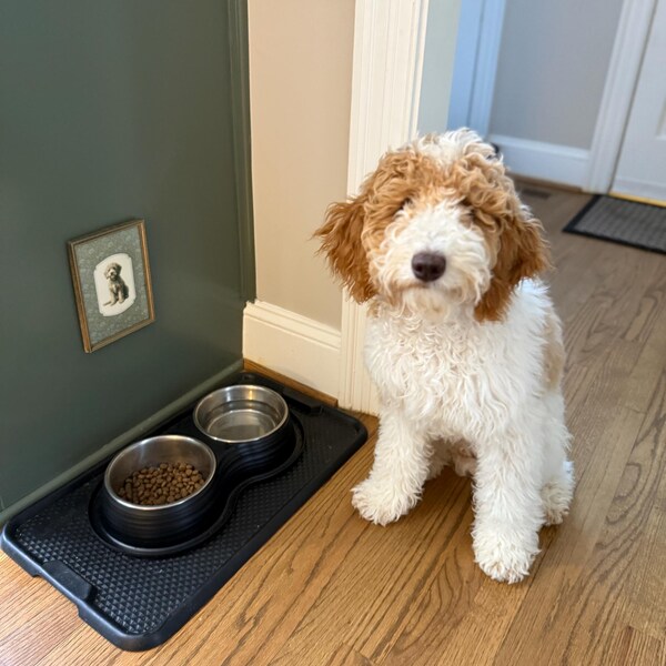 Vintage Style Dog Print Nursery Decor Golden Retriever Vintage Style ...