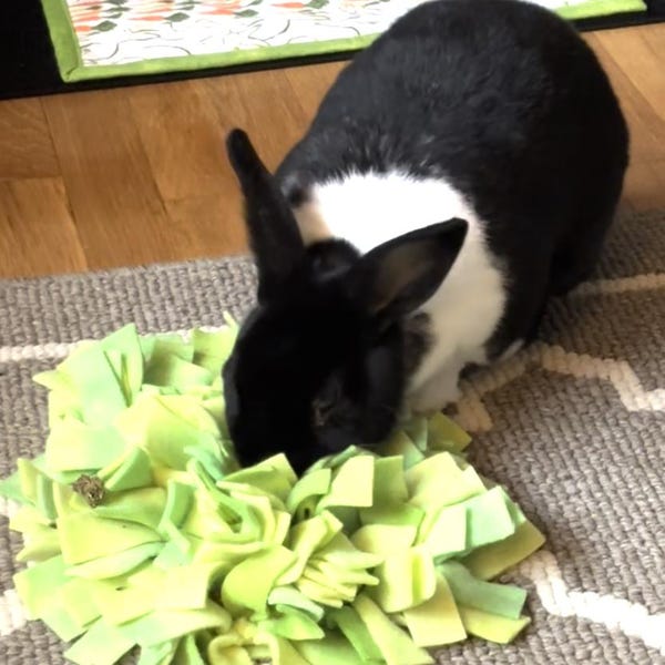Bunny Rabbit Snuffle Mat: Foraging Enrichment Toy - Etsy
