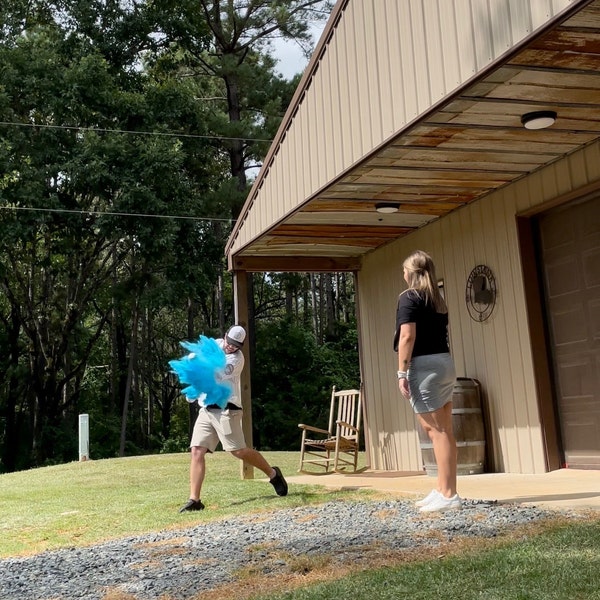 Gender Reveal Baseball! Gender Reveal Baseballs in Pink or Blue Filled ...