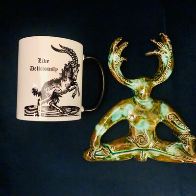 Penis Stealing Cat Coasters Set of 4 - Etsy